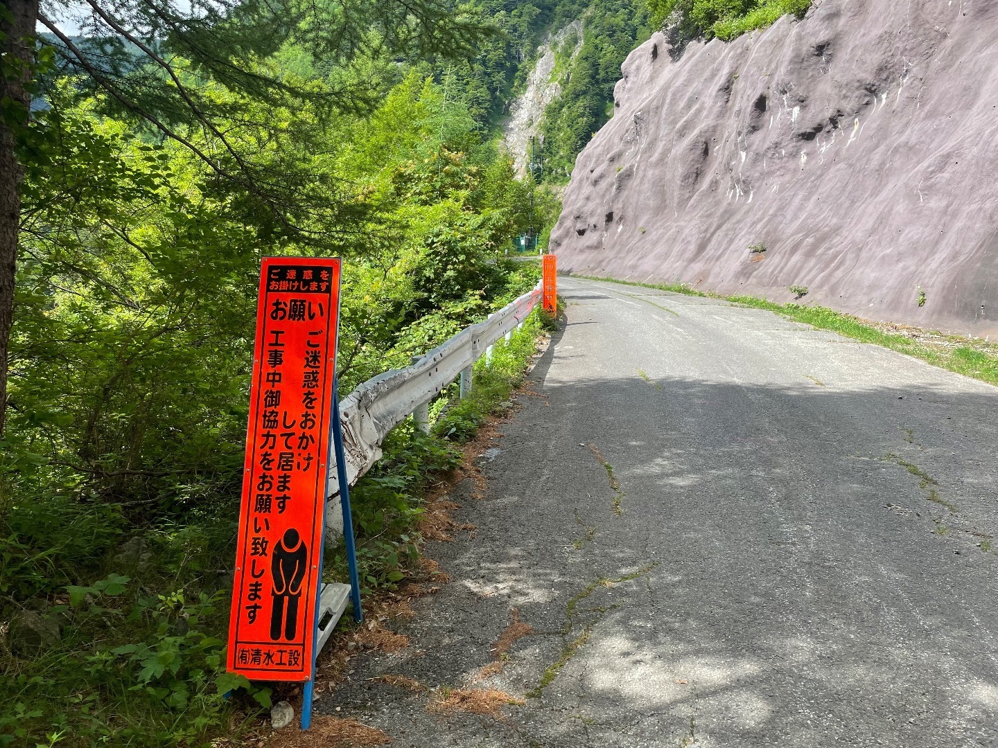 【TJAR2024を望む】南ア2泊3日山行で得たもの②: 突っ込め 突っ込め わ～お！