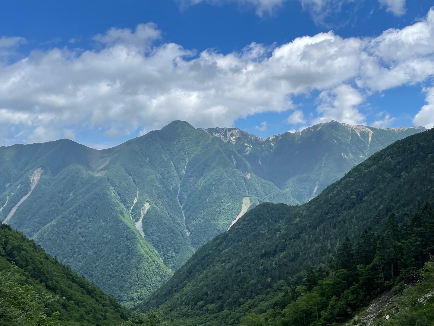 【TJAR2024を望む】南ア2泊3日山行で得たもの②: 突っ込め 突っ込め わ～お！