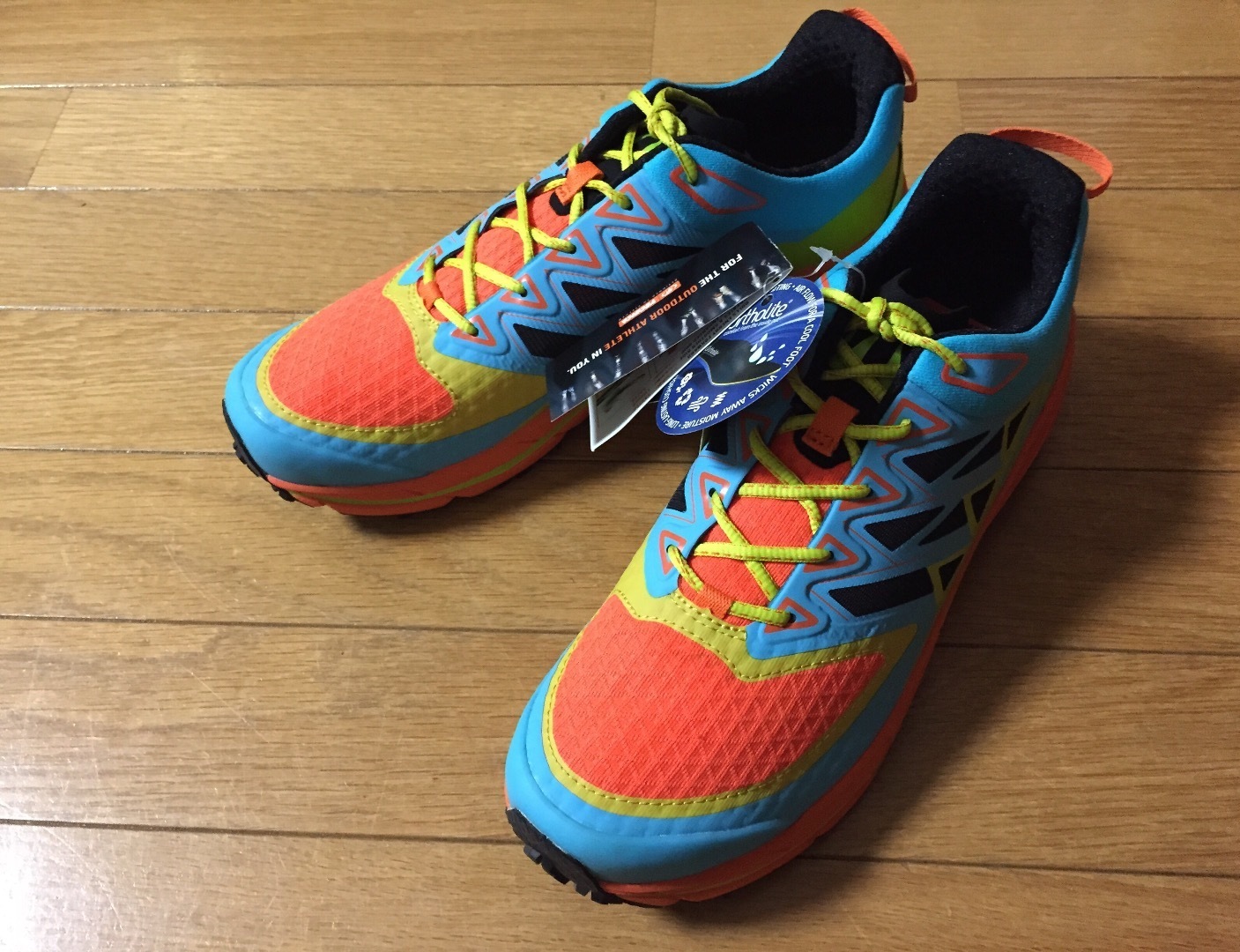 TJARで使用したシューズ: 【old】突っ込め 突っ込め わ～お！